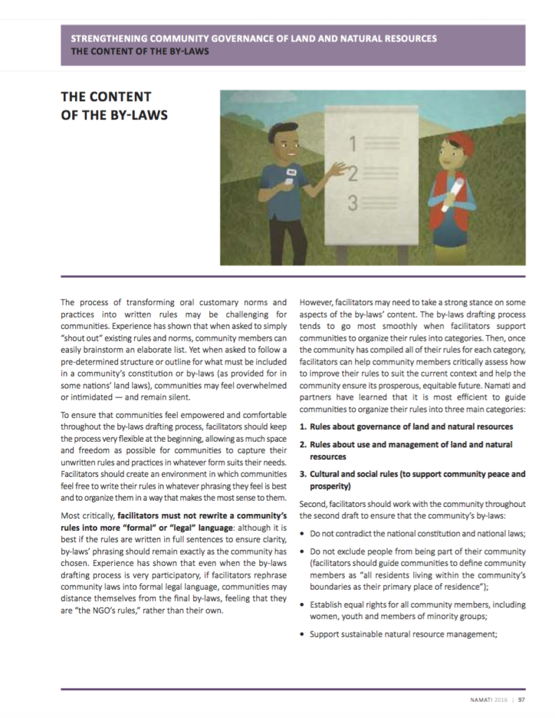 Chapter: The Content of the By-laws